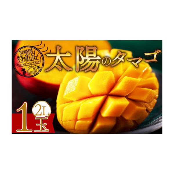 容量2L×1個消費期限完熟でお届けしますのでお早目にお召し上がりください。発送期日入金確認後、2026年5月初旬〜7月末迄に順次出荷配送冷蔵 時間指定 別送事業者ワールドワイドトレード申込条件何度も申し込み可、オンライン決済限定