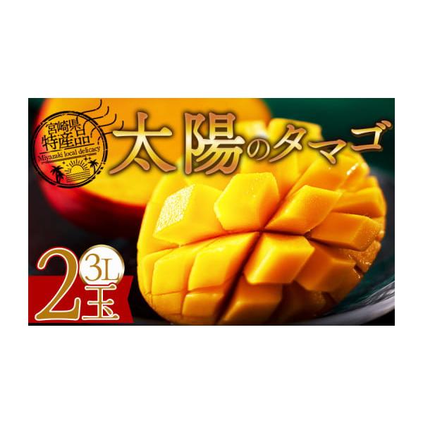 容量3L×2個消費期限完熟でお届けしますのでお早目にお召し上がりください。発送期日入金確認後、2026年5月初旬〜7月末迄に順次出荷配送冷蔵 時間指定 別送事業者ワールドワイドトレード申込条件何度も申し込み可、オンライン決済限定