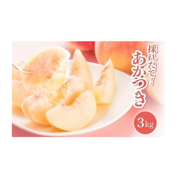 容量約3kg×1箱原産地:南信州飯田産消費期限発送日より5日※到着後すぐにお礼品の状態をご確認のうえ、賞味期限にかかわらず出来るだけお早めにお召し上がりください。発送期日2026年7月中旬〜下旬の間、順次発送いたします。（発送日・到着予定日...