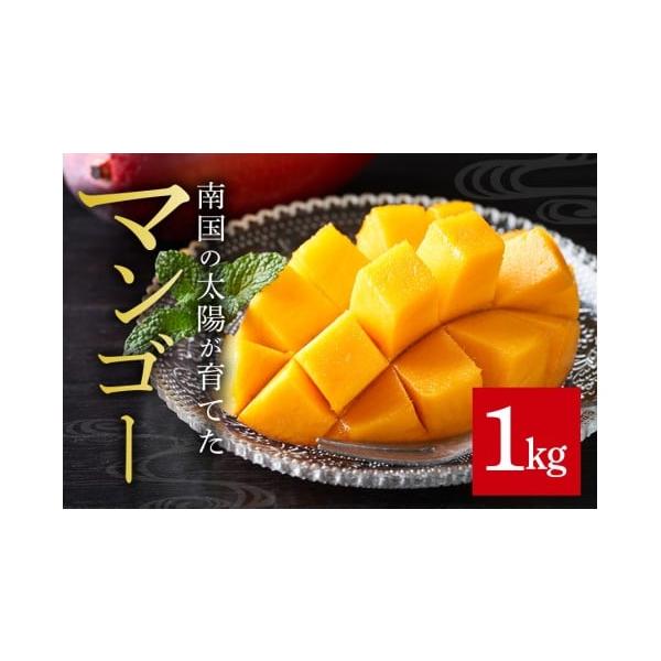 容量マンゴー　約1kg消費期限発送から7日発送期日入金確認後、6月中旬から7月下旬まで順次発送予定となります。配送冷蔵 時間指定 別送申込期日通年事業者サンクスラボ株式会社申込条件何度も申し込み可