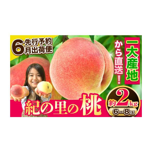 容量約2kg(6-8玉入り)生産地：和歌山白鳳 日川白鳳 八旗白鳳 清水白桃 川中島白桃 つきあかり消費期限お早めにお召し上がりください。発送期日2026年6月出荷配送冷蔵 時間指定 別送申込期日※予定数量に達し次第終了事業者-申込条件何度...