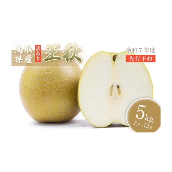 容量1箱 5kg（約7玉〜12玉）（訳あり）消費期限常温7日前後発送期日11月頃より順次発送※育成状況により出荷時期が前後する場合がございます。配送常温 別送申込期日2026年1月末まで事業者中野農園申込条件何度も申し込み可、オンライン決済限定