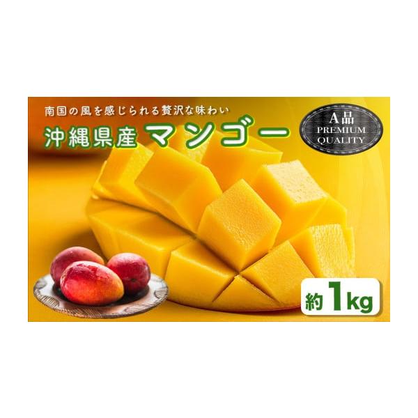 容量１ｋｇ消費期限冷蔵庫で保管しお早めにお召し上がりください。発送期日※2026年7月より収穫次第順次発送配送冷蔵 時間指定 別送事業者ハナトフルーツ申込条件何度も申し込み可