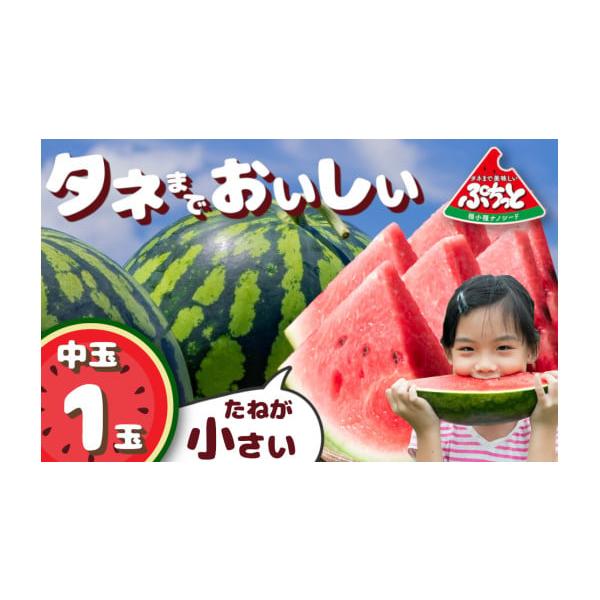 容量5キロ前後、スイカ1玉（1箱入り）消費期限生鮮食品につき、なるべく早くお召し上がりください発送期日【発送について】発送期間：令和8年6月1日〜令和8年6月30日（生育状況によっては、多少前後する可能性がございます。）返礼品は個別発送とな...