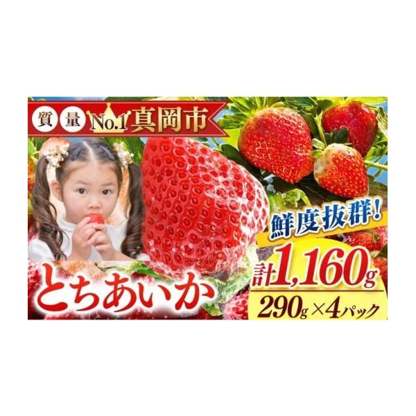 容量2箱 (290g×4)消費期限冷蔵庫に保管し、発送日より約3日以内にお早めにお召し上がりください。発送期日※【先行予約】 2026年1月上旬から順次発送予定配送冷蔵 時間指定 別送事業者株式会社 新山農産申込条件何度も申し込み可