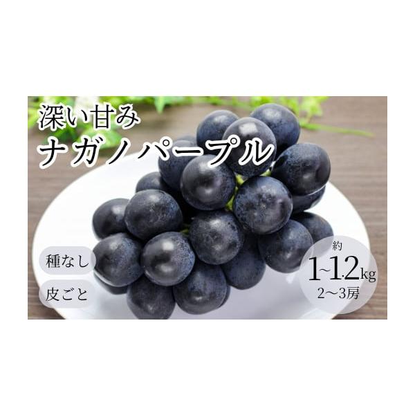 容量約1kg~1.2kg品種：ナガノパープル消費期限冷蔵庫に入れてなるべくお早めにお召し上がり下さい。発送期日2026年8月下旬頃~9月中旬の間で順次発送いたします。（※返礼品の特性上、発送予定日が前後する場合がありますのでご了承ください。...