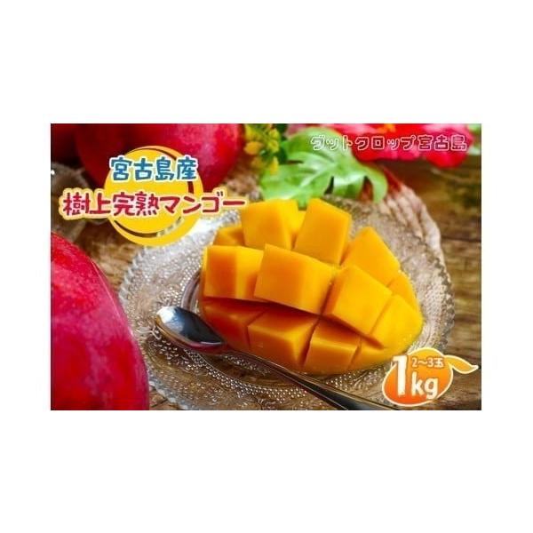 容量1kg(2〜３玉)　※玉数の指定はできません。消費期限発送日より約１週間程度※商品が届き次第まずご確認頂き、箱から取り出し冷蔵庫に入れて下さい ※食べ頃となっておりますのでお早めにお召し上がり下さい発送期日2026年6月後半〜7月下旬頃...