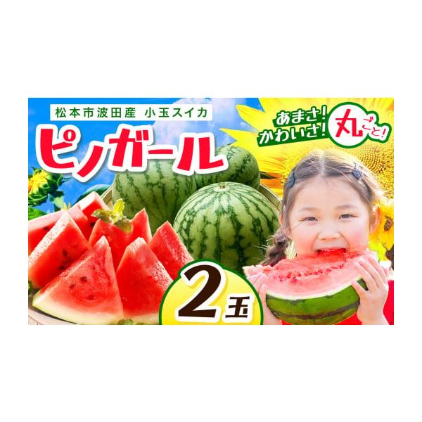 容量2玉セット（1玉1.6〜2.3kg）消費期限1週間（お早めにお召し上がりください。）発送期日2026年7月中旬より順次発送（青果物のため発送時期が前後いたします）配送常温 別送申込期日2026年7月中旬頃まで受付をしております。事業者道...