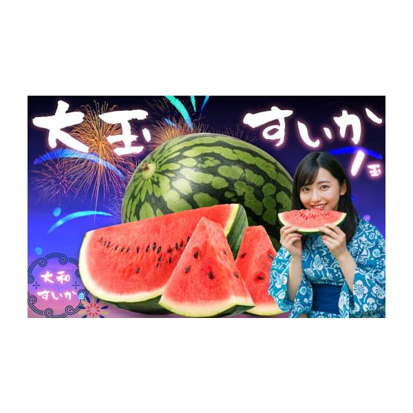 容量7〜8キロ前後、スイカ1玉（1箱入り）　2L〜3L 消費期限【賞味期限】生鮮食品につき、なるべく早くお召し上がりください発送期日【発送について】発送期間：令和8年7月1日〜令和8年7月31日（生育状況によっては、多少前後する可能性がござ...