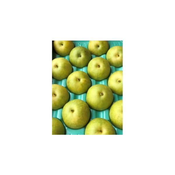 容量■お礼品の内容について・二十世紀梨[4.5kg(秀12〜14玉)]原産地:長野県上伊那郡消費期限■賞味期限:出荷日+10日発送期日2026-09-01〜2026-09-18　※離島にはお届けできません。配送常温 別送申込期日2026-0...