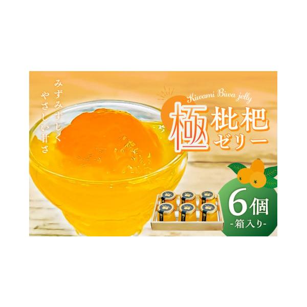容量極枇杷ゼリー6個 箱入（120g×6個）消費期限【賞味期限】45日発送期日ご入金確認後順次発送配送常温 別送申込期日通年事業者株式会社ちば南房総　道の駅とみうら枇杷倶楽部申込条件何度も申し込み可