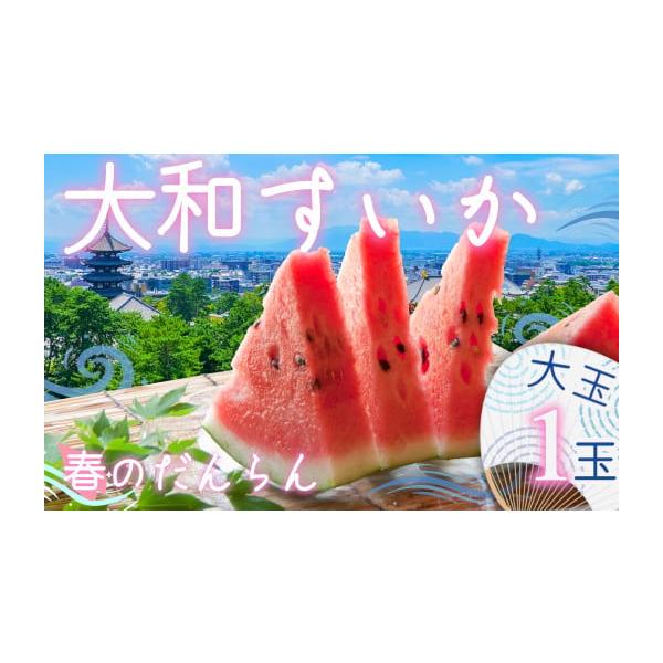 容量7〜8キロ前後、スイカ1玉（1箱入り）　2L〜3L 消費期限【賞味期限】生鮮食品につき、なるべく早くお召し上がりください発送期日【発送について】発送期間：令和8年6月1日〜令和8年6月30日（生育状況によっては、多少前後する可能性がござ...