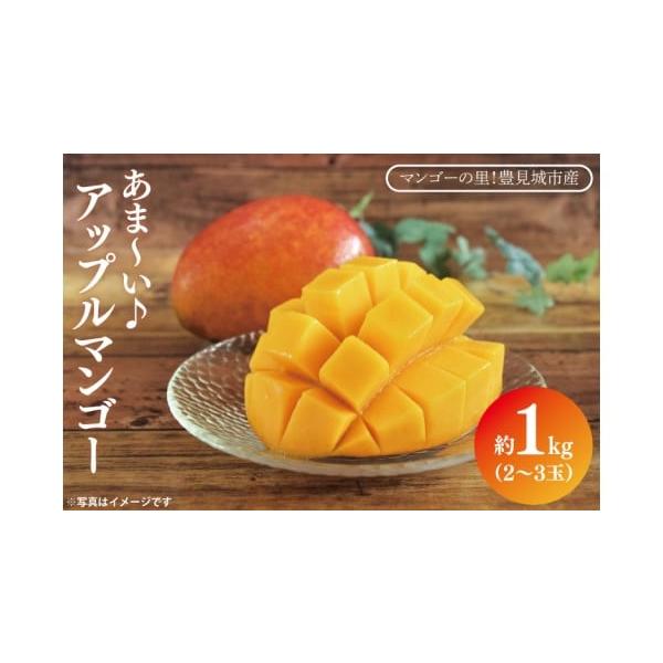 容量アップルマンゴー 約1kg(2〜3玉)消費期限青果物のため、お早めにお召し上がりください。発送期日冷蔵配送2026年6月下旬〜2026年7月下旬ご入金確認後、準備でき次第順次発送いたします。※生産の都合により前後する場合がございますがご...