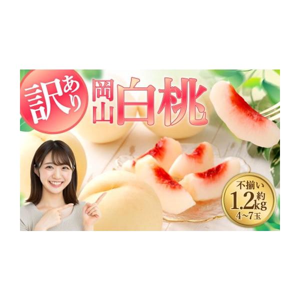 容量内容量：1.2kg以上数量：1種（4〜7玉）サイズ：不揃い※品種・玉数の指定はできません。消費期限お早めにお召し上がりください。発送期日2026年6月下旬〜9月上旬まで順次発送予定※天候や発送状況により多少前後する場合がございますので、...