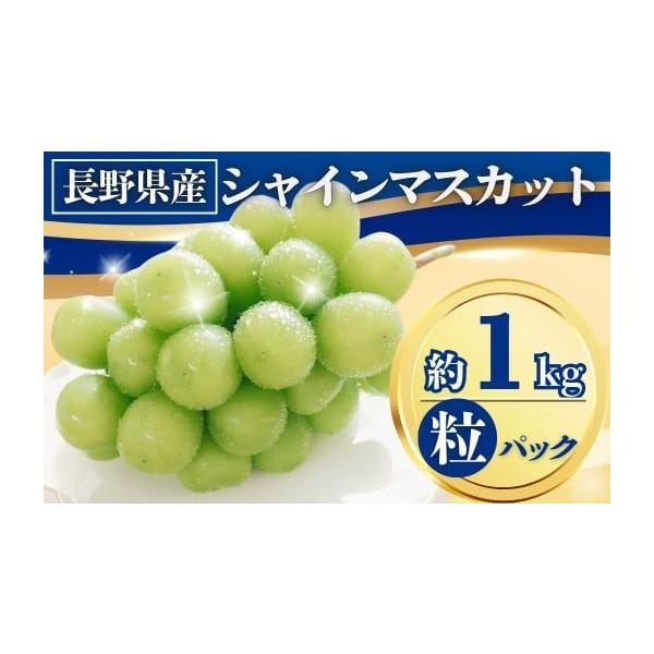 容量シャインマスカット粒パック　約1kg消費期限青果物ですので、お早めにお召し上がりください。発送期日2026年9月下旬より順次発送。（2026年9月下旬~10月下旬の期間で発送いたします）※返礼品の特性上、発送予定日が前後する場合がありま...