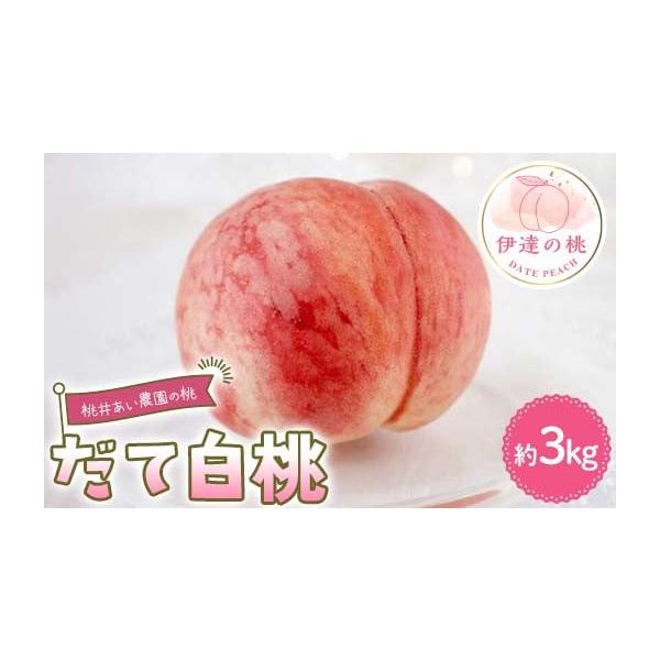 容量だて白桃 約3kg (8〜10玉)※収穫状況により発送時期が前後するため、前もって発送日を確定しにくい状況について何卒ご理解いただければ幸いです。※沖縄・離島へのお届けはできかねます。※桃はとてもデリケートな果物です。取扱いには十分ご注...