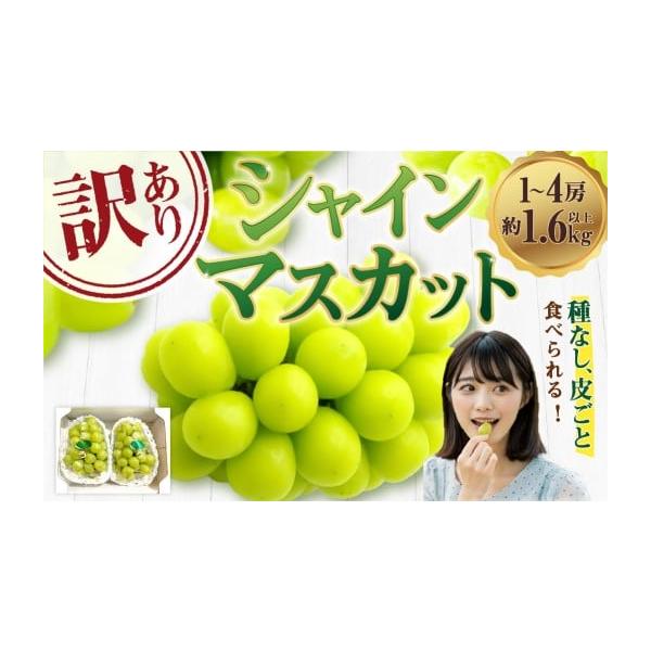 容量1〜4房約1.6kg以上※房数のご指定は出来かねます。消費期限賞味期限：発送日から7日発送期日2026年9月上旬〜10月下旬迄発送予定※天候や発送状況により多少前後する場合がございますので、予めご了承ください。配送冷蔵 時間指定 別送申...