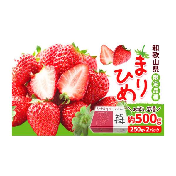 容量約500g(250g×2パック)消費期限お早めにお召しあがりください。発送期日2月中旬-4月中旬頃出荷配送冷蔵 時間指定 別送申込期日3月中旬頃迄※但し、予定数量に達し次第終了事業者JAわかやま 紀の里地域本部申込条件何度も申し込み可