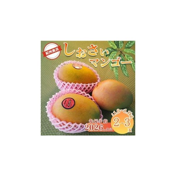 容量2〜3玉（1.0〜1.1kg）発送期日2026年7月下旬〜9月上旬頃に順次発送配送常温 別送申込期日〜2026年8月16日まで事業者ふむろファーム申込条件何度も申し込み可、オンライン決済限定