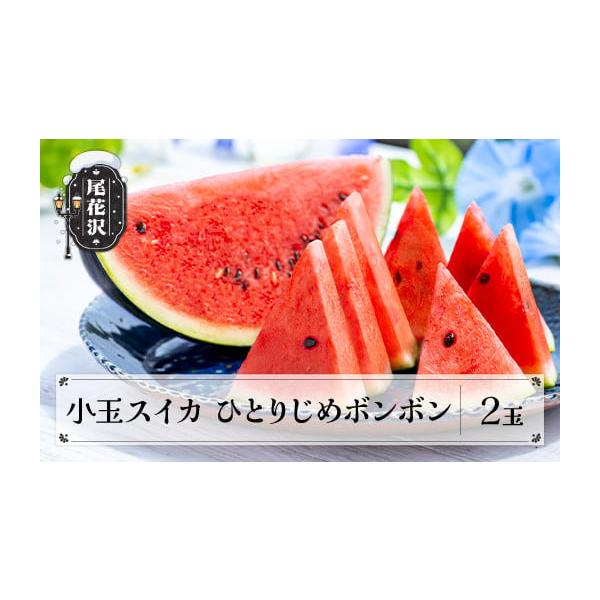 容量小玉スイカ「ひとりじめBonBon」2玉 消費期限出荷日+4日発送期日2026年7月中旬〜8月上旬頃発送 ※季節品のため配送日時指定は承っておりません。※天候や収穫量等により発送期日が前後する場合があります。  ※複数口申し込まれた方に...