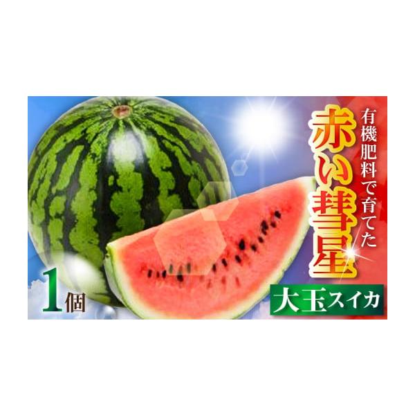 容量有機肥料で育てた大玉スイカ＜赤い彗星＞ 1個【保存方法】常温【原材料名】スイカ【原材料産地】神奈川県三浦市【製造・加工地】神奈川県三浦市発送期日2026年7月下旬〜8月上旬にお届けいたします。配送常温 別送申込期日2026年6月30日ま...