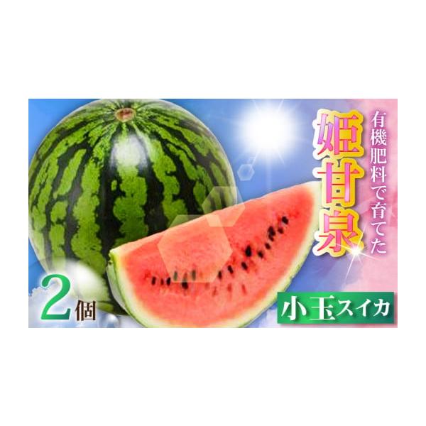 容量有機肥料で育てた小玉スイカ＜姫甘泉＞ 2個【保存方法】常温【原材料名】スイカ【原材料産地】神奈川県三浦市【製造・加工地】神奈川県三浦市発送期日2026年7月中旬〜7月下旬頃にお届けいたします。配送常温 別送申込期日2026年6月30日ま...