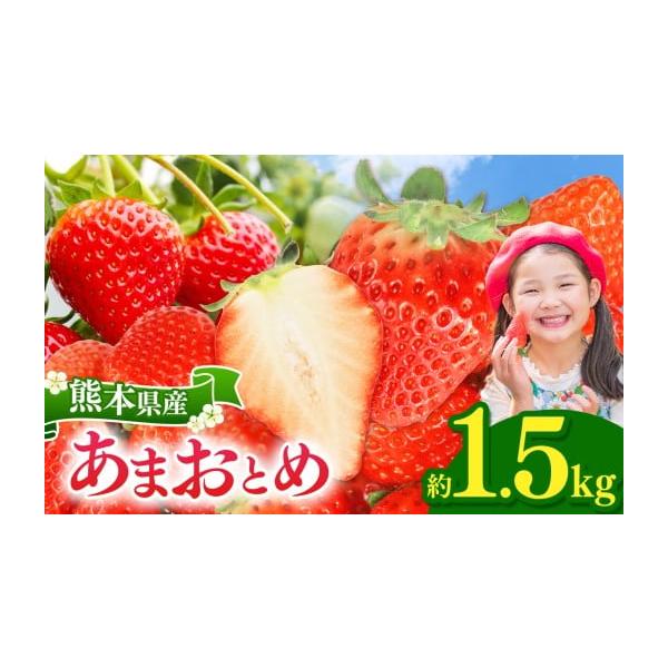 容量あまおとめ　約1.5kg消費期限発送日より7日前後※青果物のため、お早めにお召し上がりください。発送期日2026年1月より順次発送いたします。※収穫状況により、発送予定が前後する場合もございます。あらかじめご了承下さい。配送冷蔵 時間指...