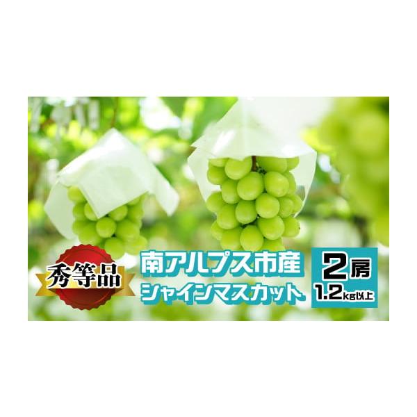 容量南アルプス市産 シャインマスカット 1.2kg 2房消費期限到着から5日発送期日2026年9月上旬〜9月下旬※離島、沖縄県にはお届けできない返礼品です。※発送時期につきましては例年の発送時期になっております。その年の天候や発育状況により...