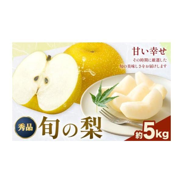 容量約5kg消費期限発送から10日以内、お早めにお召し上がりください。発送期日8月上旬-10月上旬頃出荷配送冷蔵 時間指定 別送申込期日9月下旬頃まで事業者日本フルーツ申込条件何度も申し込み可