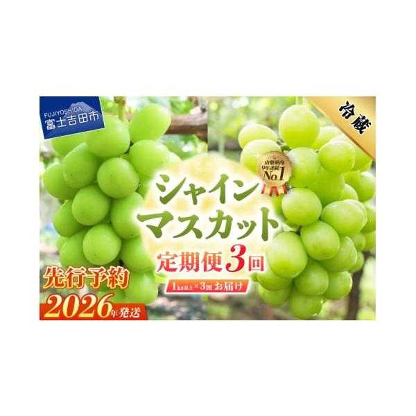 容量2026年発送【定期便】シャインマスカット1kg以上×3回定期便1回目　9月中旬頃2回目　10月上旬頃3回目　10月下旬頃※日時指定は出来かねておりますのでご注意ください。※沖縄および離島へのお届けはできません。発送期日1回目　9月中旬...