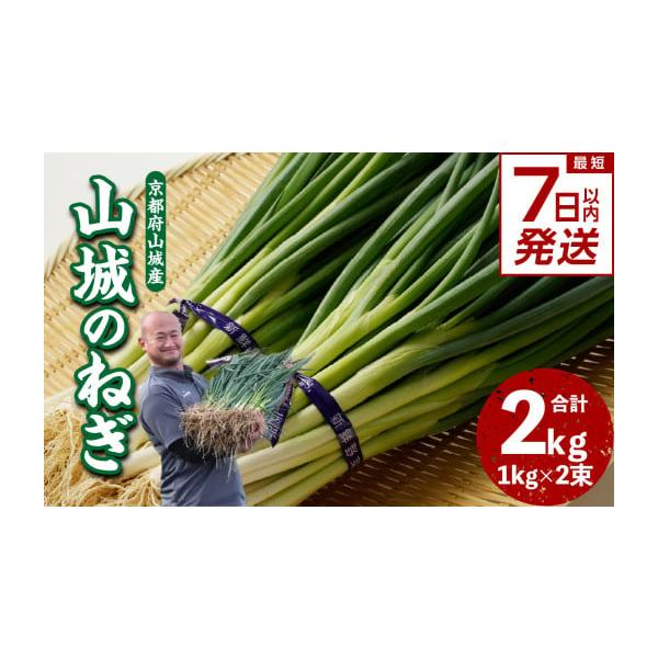 容量山城のねぎ　1kg×2束消費期限生鮮品ですのでなるべく早めにお召し上がりください発送期日【スピード発送】決済から7日程度で発送配送冷蔵 時間指定 別送申込期日通年事業者株式会社　秋田農園申込条件何度も申し込み可