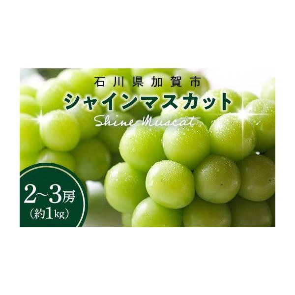 容量シャインマスカット約1kg消費期限お早めにお召し上がりください。発送期日2026年8月下旬〜2026年10月中旬配送冷蔵 時間指定 別送申込期日〜2026年9月30日まで事業者株式会社ユタカーナ申込条件何度も申し込み可