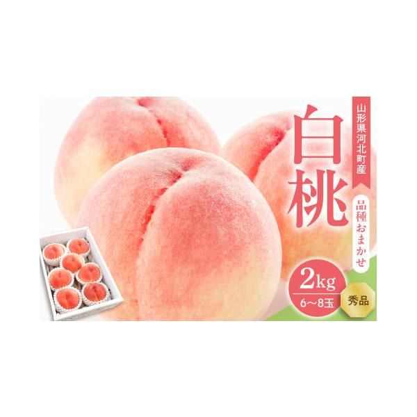 容量白桃 品種おまかせ 2kg (6~8玉前後)・西王母(9月下旬)は大玉になりやすいです。(4・5玉入りになる場合があります。)◆主な品種と特徴・あかつき(8月上旬):果肉は柔らかめです。追熟すると、とろりとした食感になります。・川中島(...