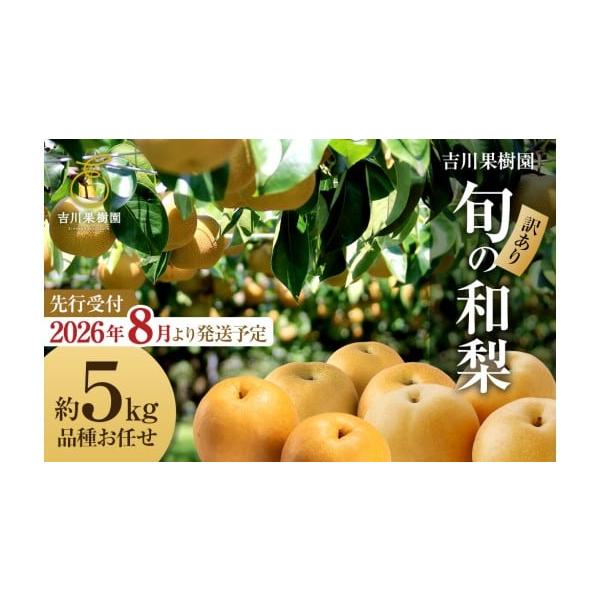 容量訳あり和梨 約5kg旬の時期8月中旬〜下旬：幸水9月上旬〜下旬：豊水9月下旬〜10月下旬：新高消費期限出荷後3日程度※暗冷所にて保管ください。※高温になりやすい場合は野菜室への保管をおすすめいたします。発送期日8月中旬から10月下旬／8...