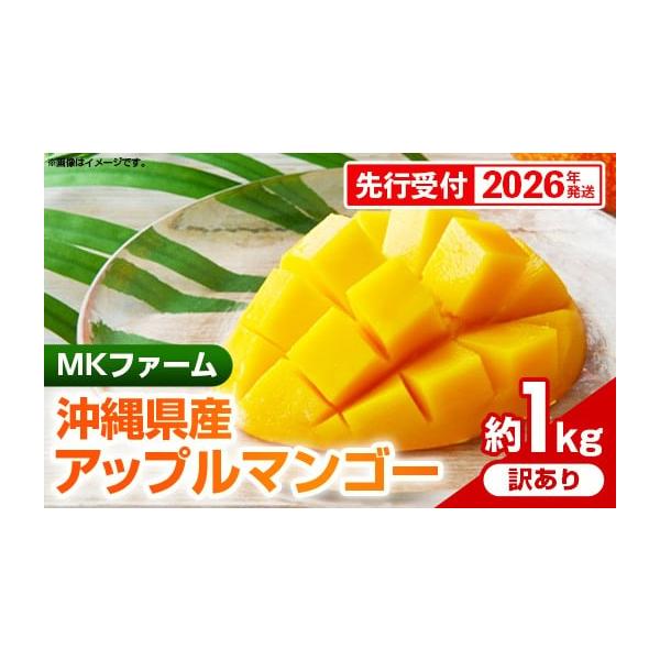 容量MKファームの訳ありアップルマンゴー約1kg【訳あり】【2〜3玉】※色・キズ有り・不揃いの為、見た目は落ちますが、味や甘さは変わりありません。ご家庭用としてご賞味ください。※玉数の指定はできません※数に限りがございます。数量に達し次第終...