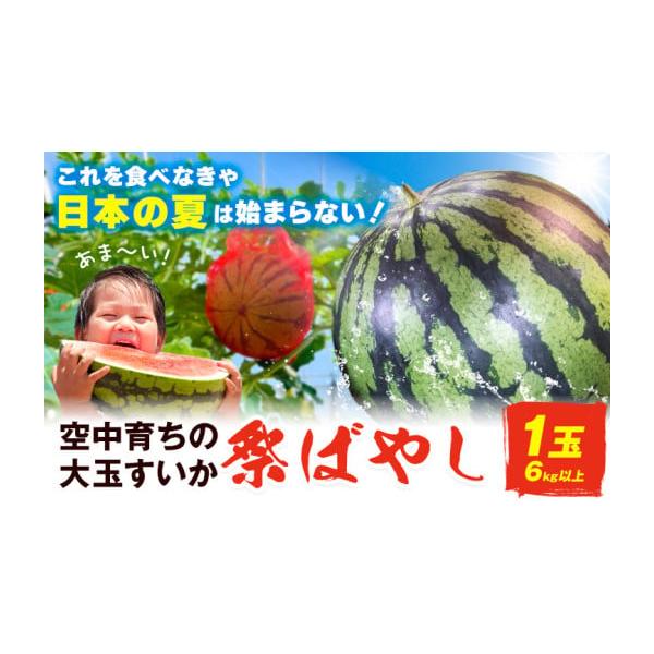 容量1玉入(6kg以上)消費期限お早めにお召し上がりください。発送期日2026年6月下旬-8月上旬頃出荷配送常温 時間指定 別送申込期日7月上旬頃まで(予定数量に達し次第終了)事業者そうがわ農園申込条件何度も申し込み可