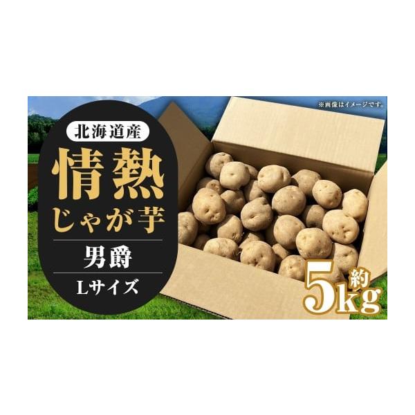 容量じゃがいも（男爵）：約5kg×1箱サイズ：Lサイズ消費期限賞味期限：発送日から冷暗所に保管で約2ヶ月発送期日2026年10月上旬〜2026年12月上旬迄発送予定配送常温 時間指定 別送申込期日2026年11月15日まで寄附受付事業者株式...