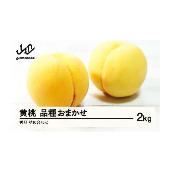 容量有袋黄桃 秀品 品種おまかせ 化粧箱入り約2kg（5〜9玉入り）※品種おまかせ（スィート光黄・黄金桃・黄貴妃・きららの極み　より1品種）※ももの種類はお選びいただけません。消費期限到着後お早めにお召し上がりください。発送期日2026年8...