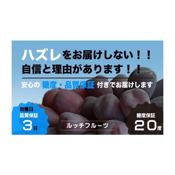 容量富士の輝（ふじのかがやき）2〜5房（約2kg）消費期限青果ですので到着後お早めにお召し上がりください発送期日8月下旬〜10月下旬頃(天候により発送時期が前後します)配送冷蔵 時間指定 別送申込期日2026年10月31日まで事業者ルッチフ...
