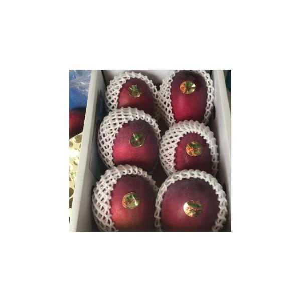 容量マンゴー 1.5kg（4〜5個）発送期日ご入金確認後、2026年7月中旬〜お届け予定配送冷蔵 別送事業者合同会社宮平農園申込条件何度も申し込み可