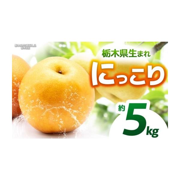 容量約5kg(秀7玉)消費期限青果物ですのでお早めにお召し上がりください。発送期日2026年10月より順次発送予定※収穫状況によって発送月上旬時期が前後する場合がありますので予めご了承ください。配送常温 時間指定 別送申込期日2026年10...