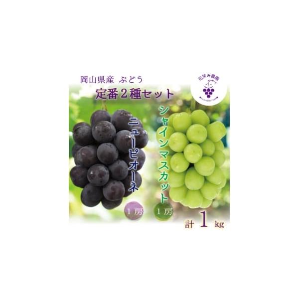 容量■お礼品の内容について・ニューピオーネ1房、シャインマスカット1房[計1kg(2房)]原産地:岡山県■生産者の声花笑み農園は、フルーツ王国「岡山県」の北部にあります。年間の平均気温は14℃、降水量は1,400mm前後、積雪は少なく、比較...