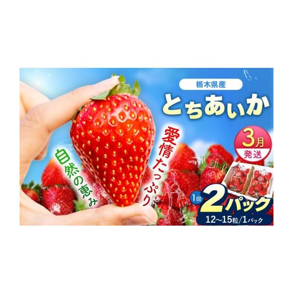 容量・とちあいか 12〜15粒 × 2P消費期限発送日より 5日※いちごは大変傷みやすくデリケートな果物ですので、お早めにお召し上がりください。発送期日2026年3月上旬〜3月下旬頃の予定で、順次発送します。青果物の為、天候や収穫状況によっ...