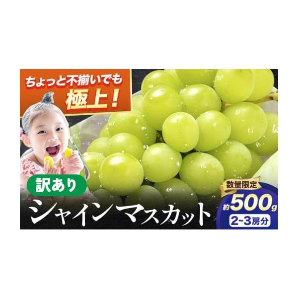 容量約500g (2~3房)消費期限到着後、冷蔵庫に保管しお早めにお召し上がりください。発送期日2026年8月上旬-下旬頃出荷配送冷蔵 時間指定 別送申込期日8月中旬頃まで(予定数に達し次第、受付を終了することがございます)事業者-申込条件...