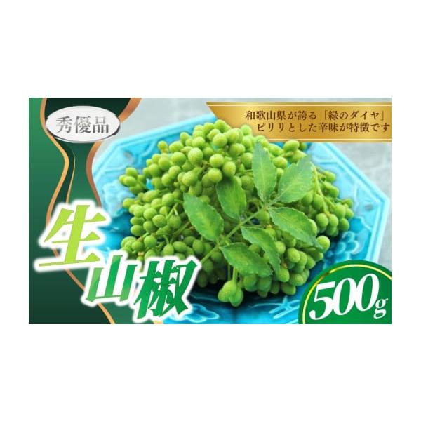 容量500g消費期限直射日光を避け風通しの良い場所で発送日より10日前後　※生ものですのでできるだけ早くご使用ください発送期日2026年5月中に順次発送予定※収穫後にまとめて出荷になるため、配達日はご指定いただけません。※誠に申し訳ございま...