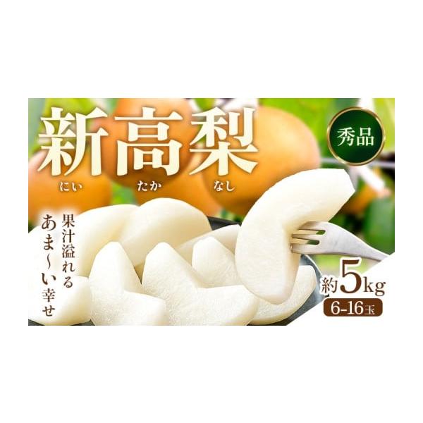 容量約5kg (6〜16玉)消費期限発送から10日以内、お早めにお召し上がりください。発送期日9月上旬-10月上旬頃出荷配送冷蔵 時間指定 別送申込期日9月下旬頃まで事業者日本フルーツ株式会社申込条件何度も申し込み可