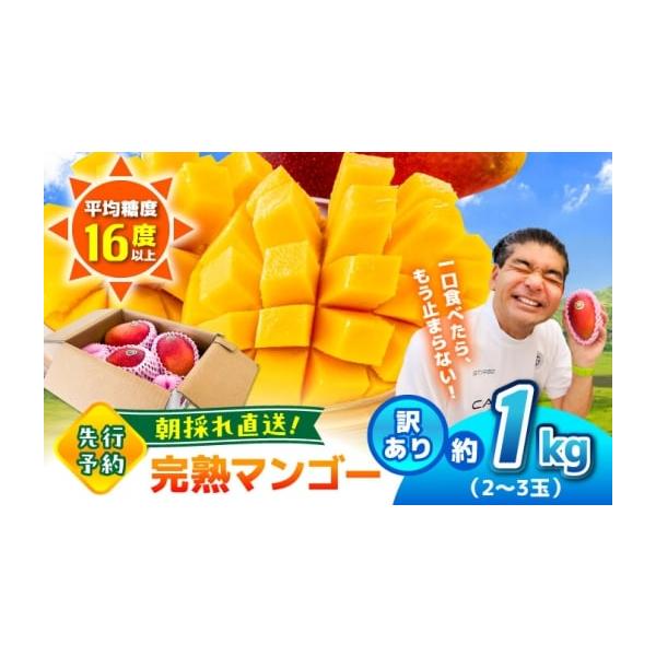 容量菊池マンゴー約1kg（2〜3玉）L〜4Lサイズ■保存方法直射日光と高温多湿を避けた状態で追熟（保存）してください。【原料原産地】熊本県合志市消費期限【賞味期限】配送日から7日間発送期日ご入金確認後、2026年6月上旬ごろから順次発送いた...