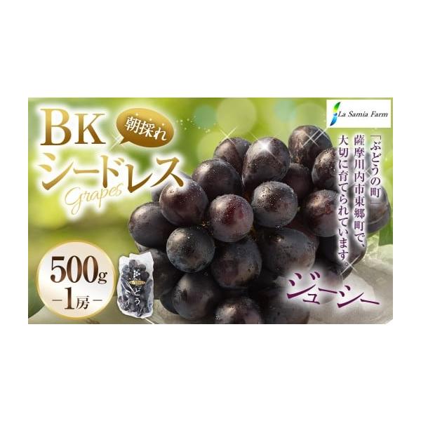 容量500g（1房）消費期限賞味期限：冷蔵で5日発送期日2026年8月上旬〜9月中旬発送予定配送冷蔵 別送申込期日〜2026年8月31日まで寄附受付事業者La Samia Farm（ラ・サミア　ファーム）申込条件何度も申し込み可、オンライン...