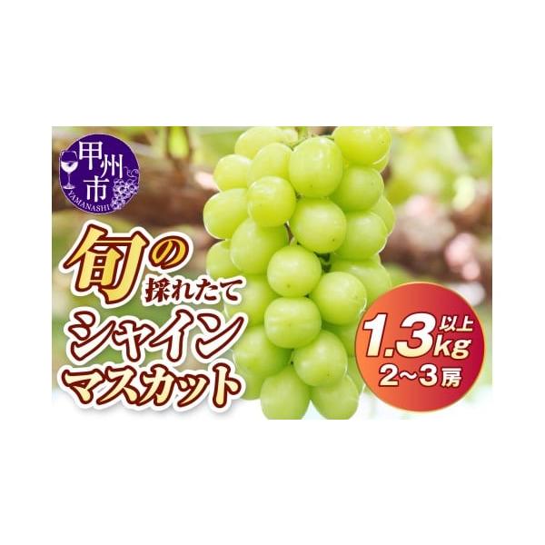 容量旬の採れたてシャインマスカット 1.3kg以上（2房〜3房）消費期限到着次第、お早めにお召し上がりください。発送期日2026年8月中旬〜10月下旬頃、順次発送予定※天候や収穫状況により出荷に変動がございます。（※沖縄・離島へのお届けはで...
