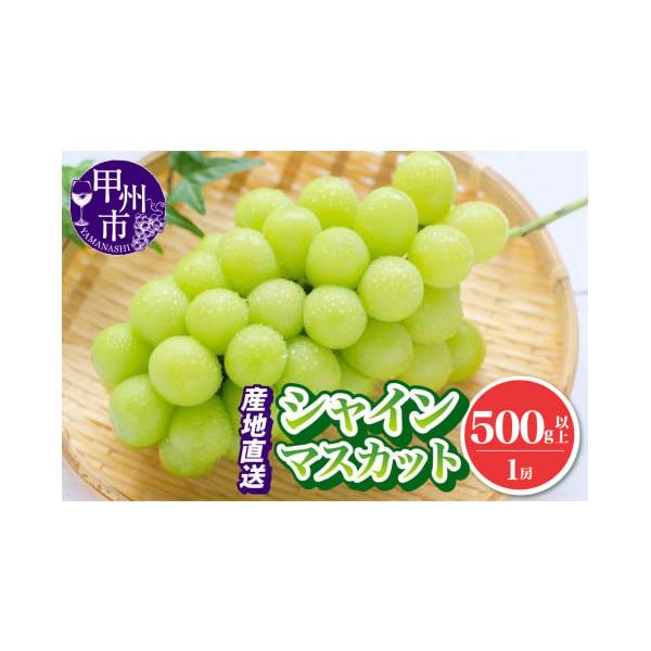 容量シャインマスカット 500g以上 1房消費期限到着次第、お早めにお召し上がりください。発送期日2026年8月下旬〜11月下旬頃、順次発送予定※天候や収穫状況により出荷に変動がございます。（※沖縄・離島へのお届けはできかねております）配送...